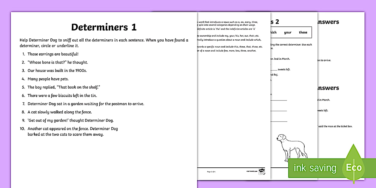 Determiners Worksheet / Worksheet (Teacher-Made) - Twinkl