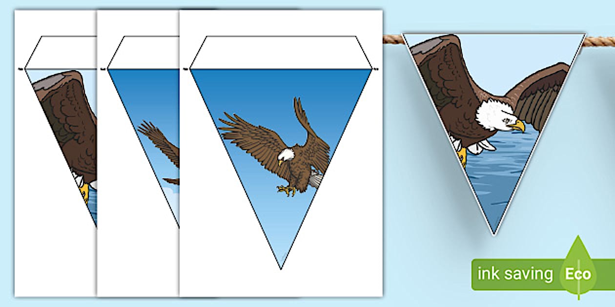 Flying Eagle Bunting | Twinkl Display Decoration - Twinkl