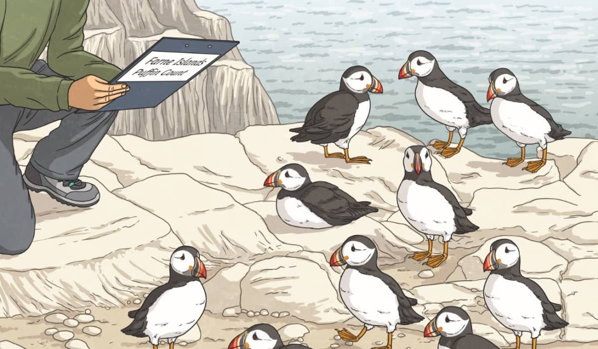 harriet reid farne islands