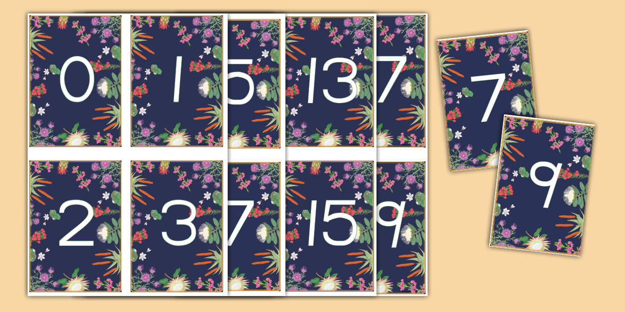 Fynbos-Themed 0-20 Number Cards (teacher made) - Twinkl