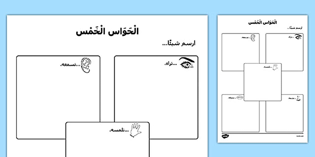 The 5 Senses Drawing Worksheet Arabic- نشاط رسم الحواس الخمس