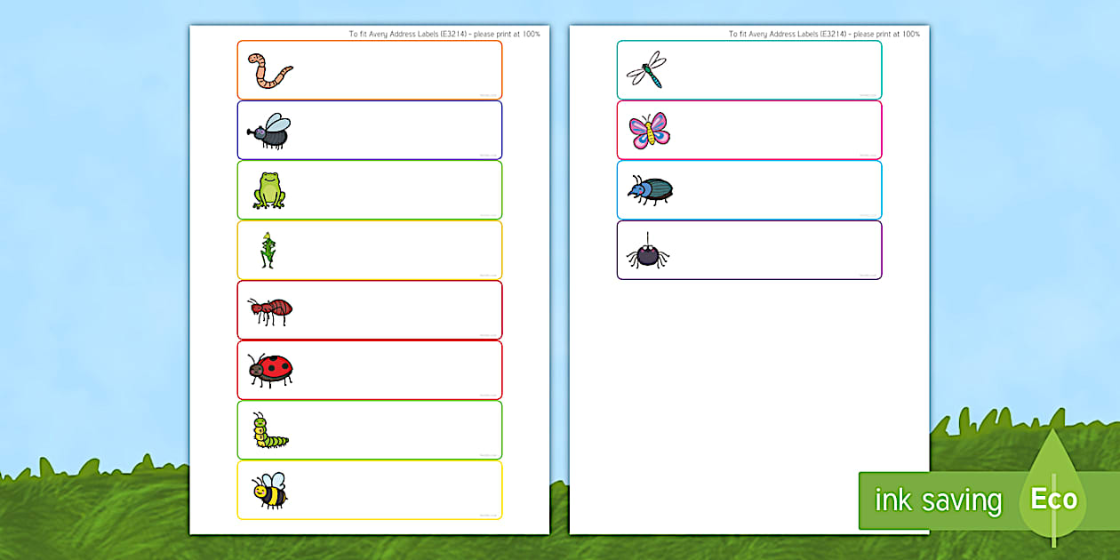 Minibeast-Themed Gratnell Drawer Labels - Twinkl