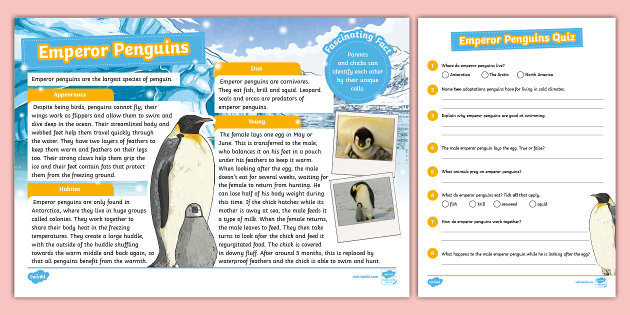 KS2 Emperor Penguin Fact File and Quiz (l'enseignant a fait)