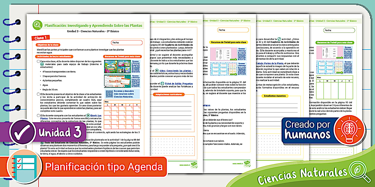 Planificación | Unidad 4 | Ciencias | Ecosistema | 4° Básico