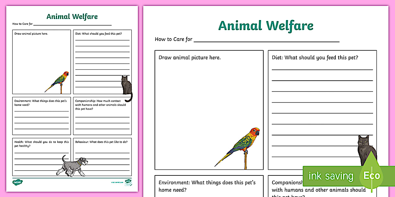 Animal Welfare Information Poster Activity Sheet - Twinkl