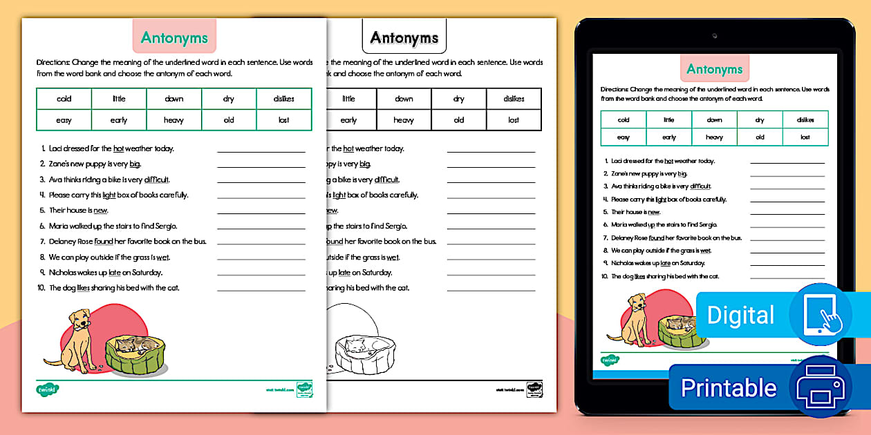 First Grade Antonyms Worksheet (teacher made) - Twinkl