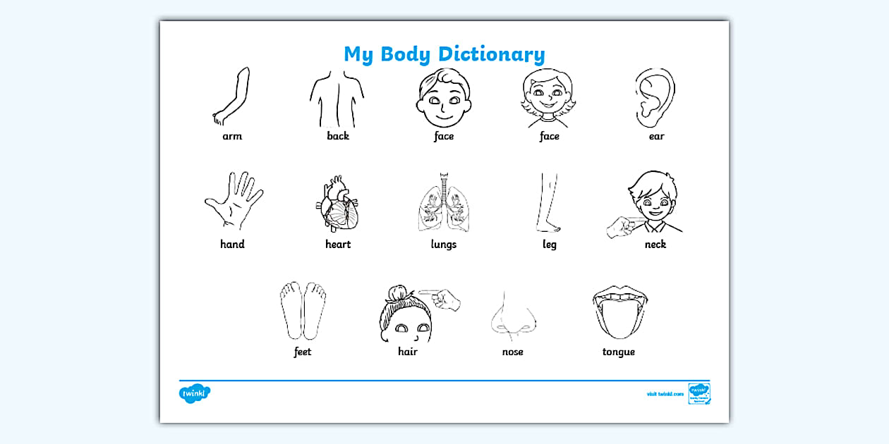 Human Body Colouring Pages - Primary Resources - Twinkl