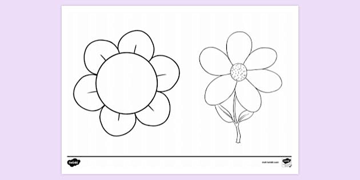 Easy Flowers Colouring Page | Colouring Sheets - Twinkl