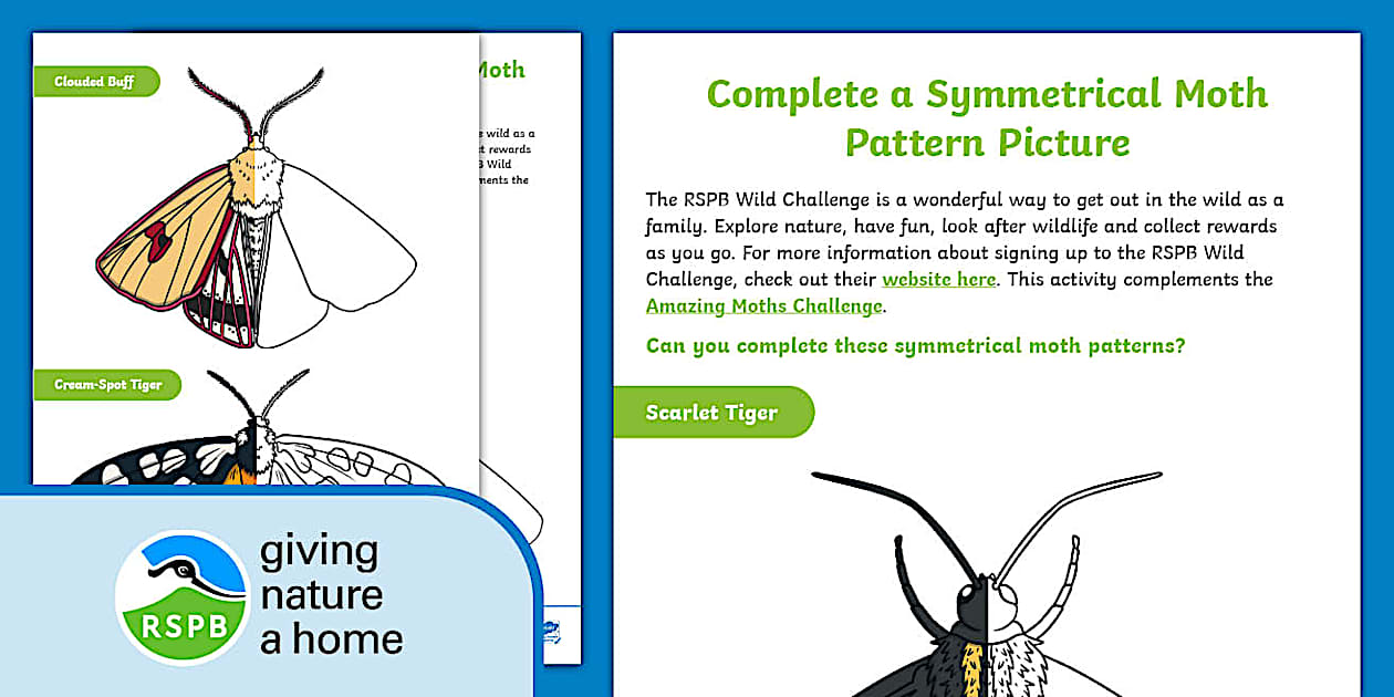 FREE! - Symmetrical Moth Activity | RSPB Wild Challenges | Twinkl