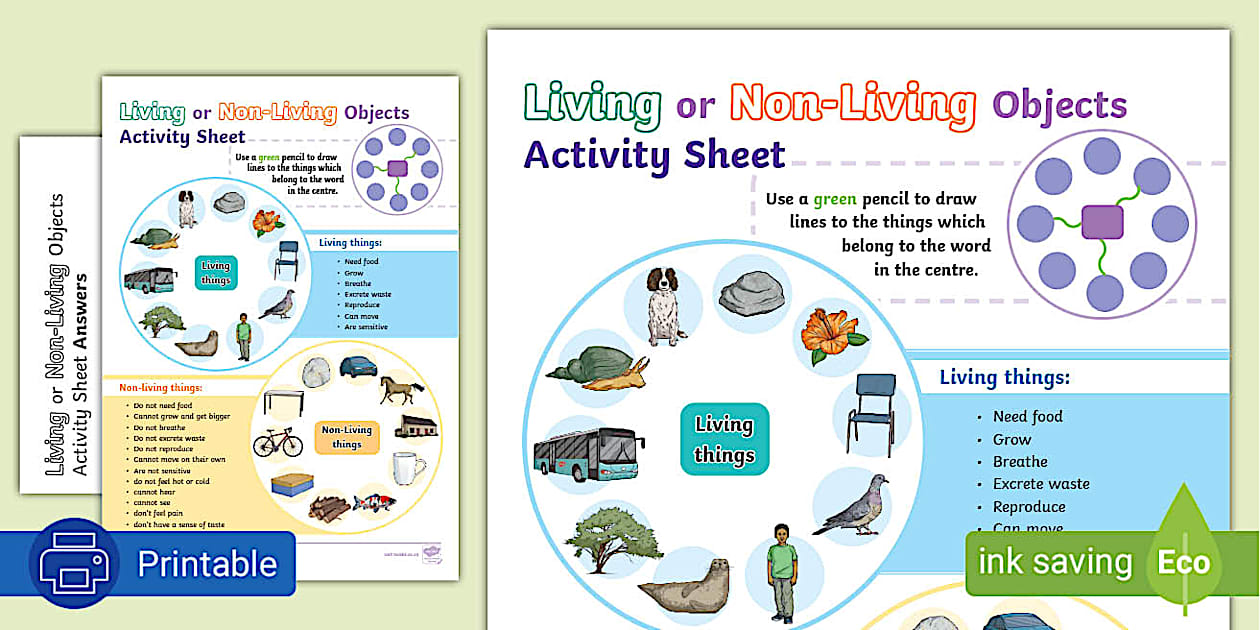 Living and Non-Living Things - Activity Sheet (teacher made)