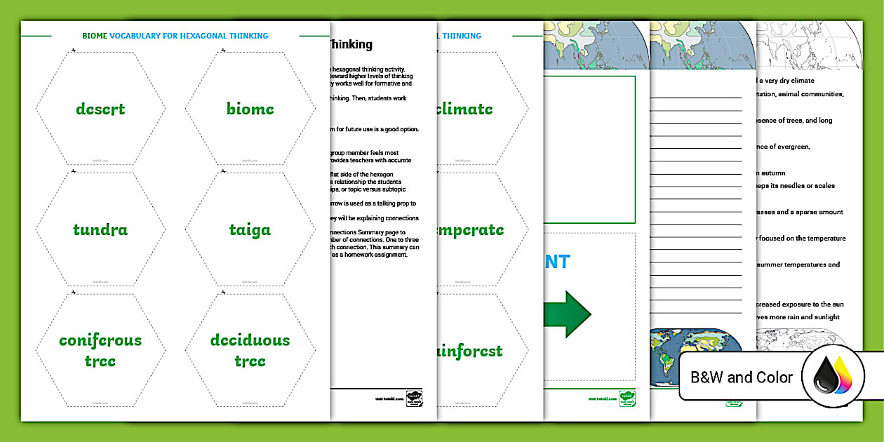 Sixth Grade Science Hexagonal Thinking - Biomes - Twinkl