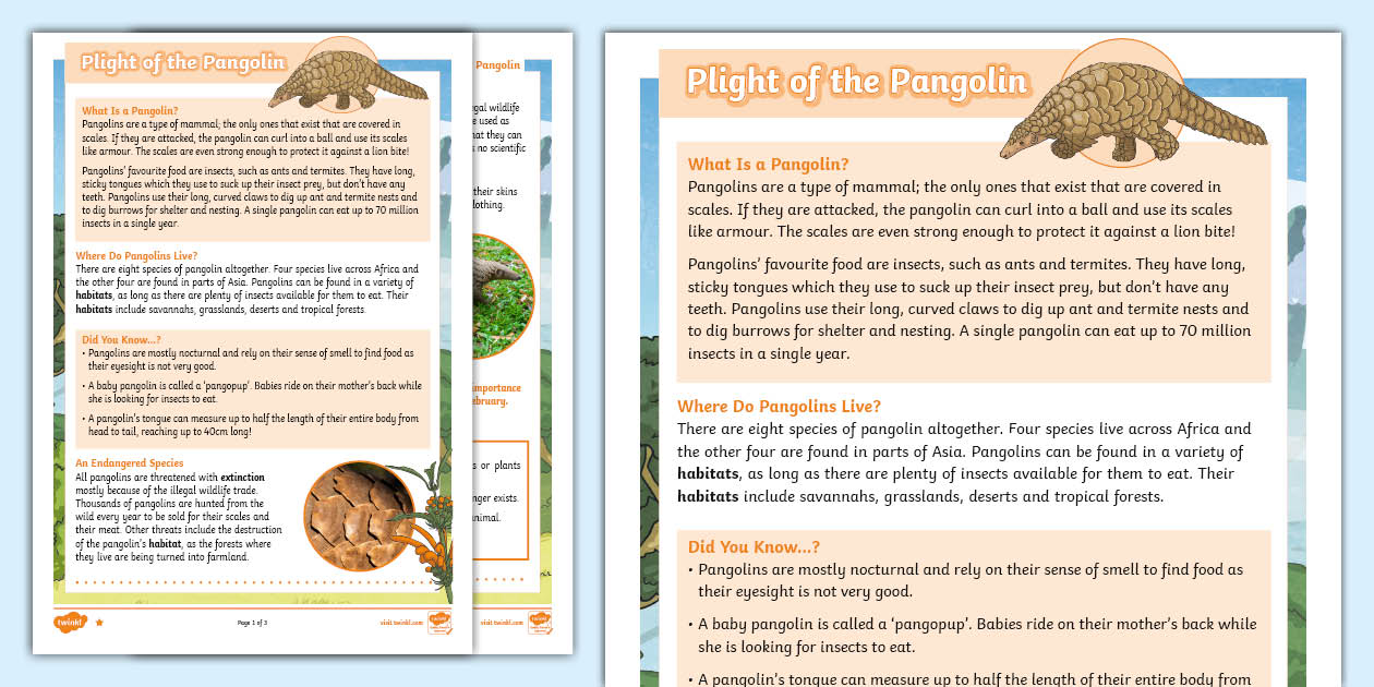 UKS2 Pangolin Poaching Differentiated Reading Comprehension