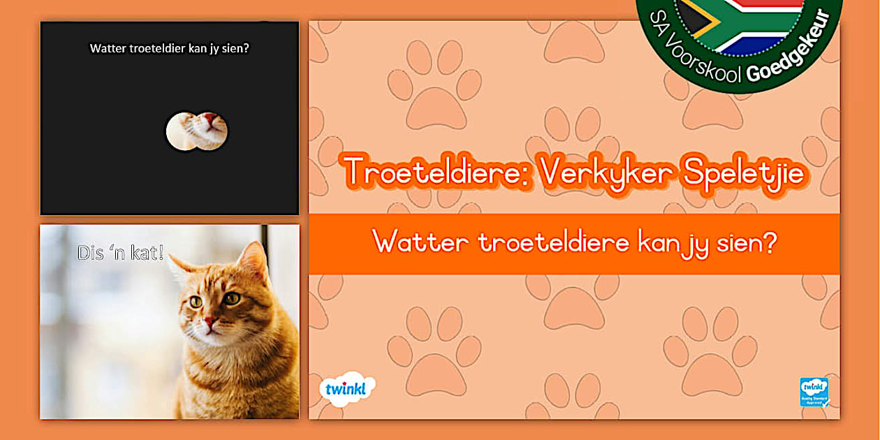 Troeteldiere: Verkyker Speletjie (teacher made) - Twinkl