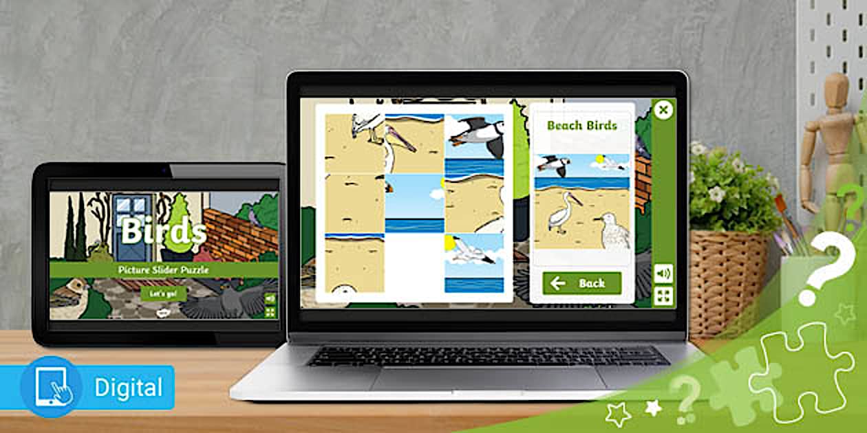 Interactive Birds Picture Slider Game | Twinkl Go! - Twinkl