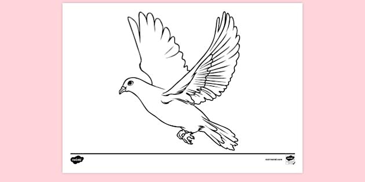 Dove of Peace Colouring | Colouring Sheets (Teacher-Made)