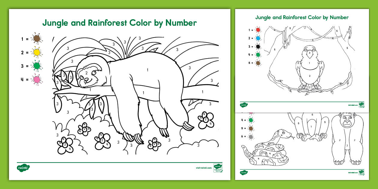 Kindergarten Jungle and Rainforest Color by Number Activity
