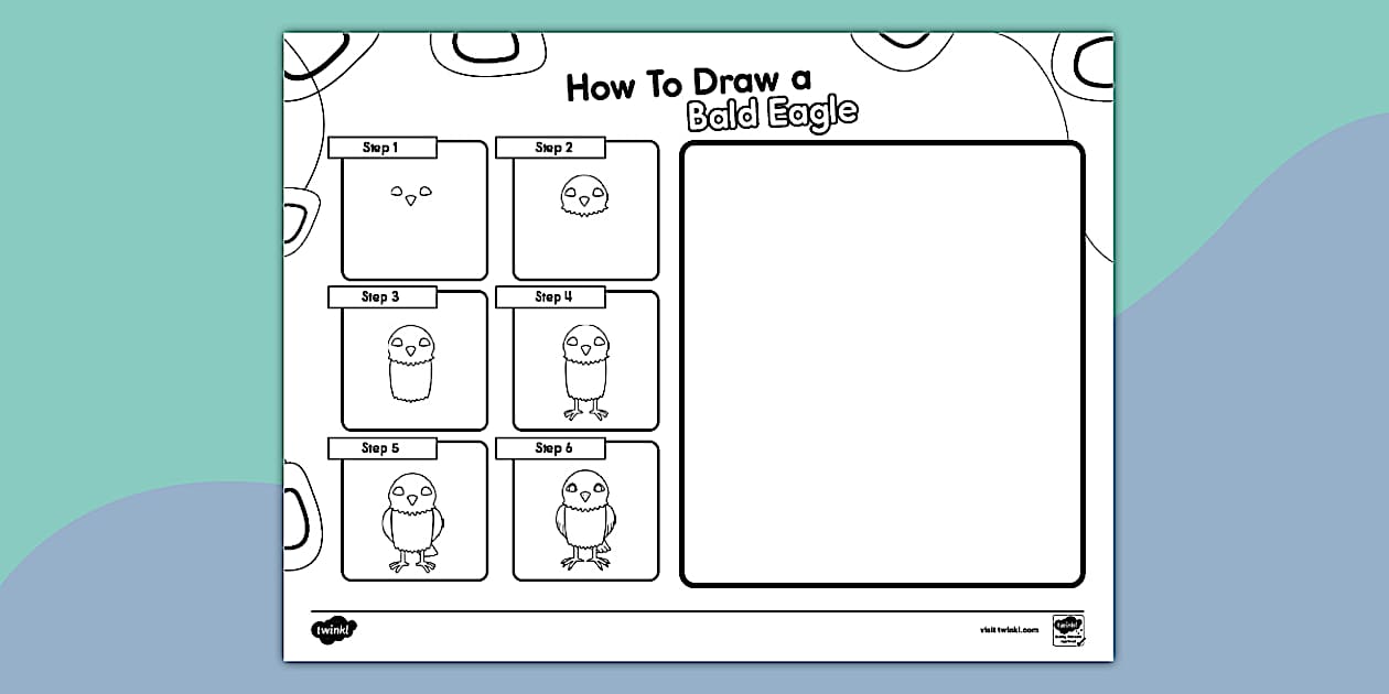 Bald Eagle to Draw | Resource | Twinkl USA (Teacher-Made)