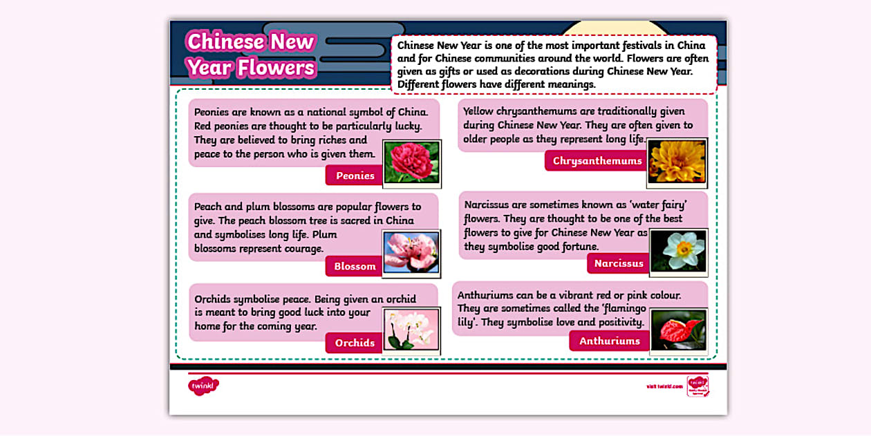 KS1 Chinese New Year Flowers Fact File - Twinkl