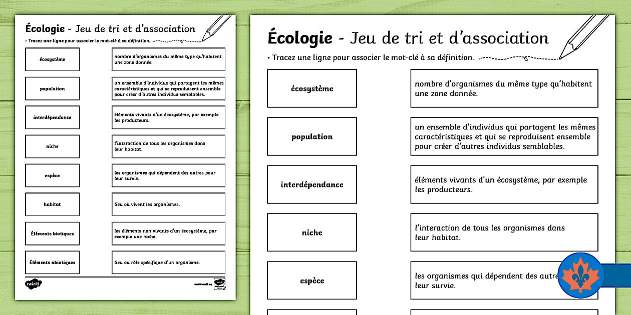 Ecology Activity - Match and Draw French