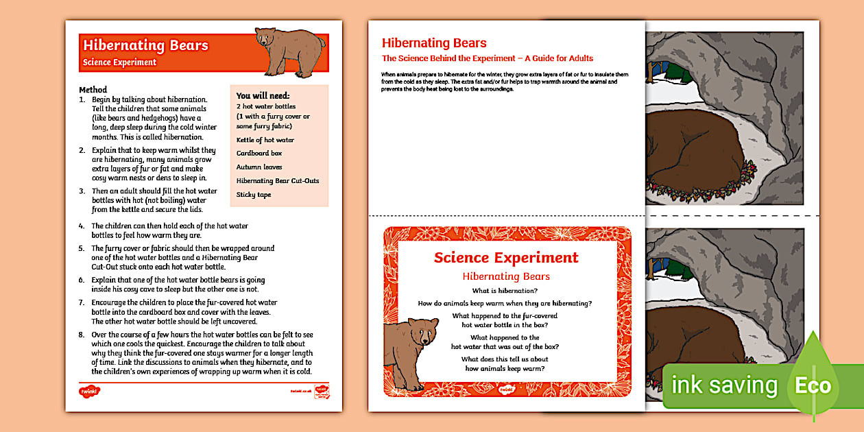 Hibernation Science Activities For Preschool (teacher made)
