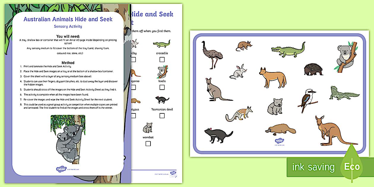 Australian Animals 'Hide and Seek' Sensory Activity - Twinkl