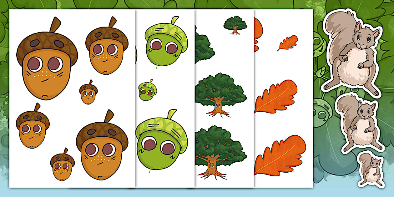 Little Acorns Size Ordering (teacher made) - Twinkl
