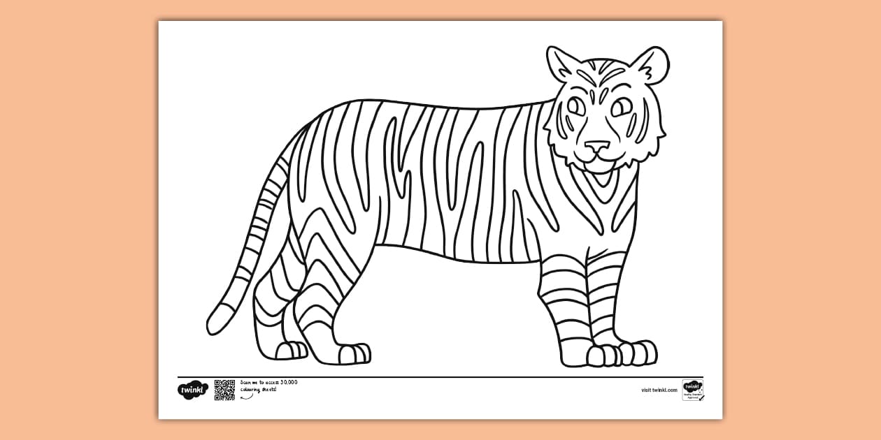 Tiger Colouring Sheet | Colouring Sheets (teacher made)