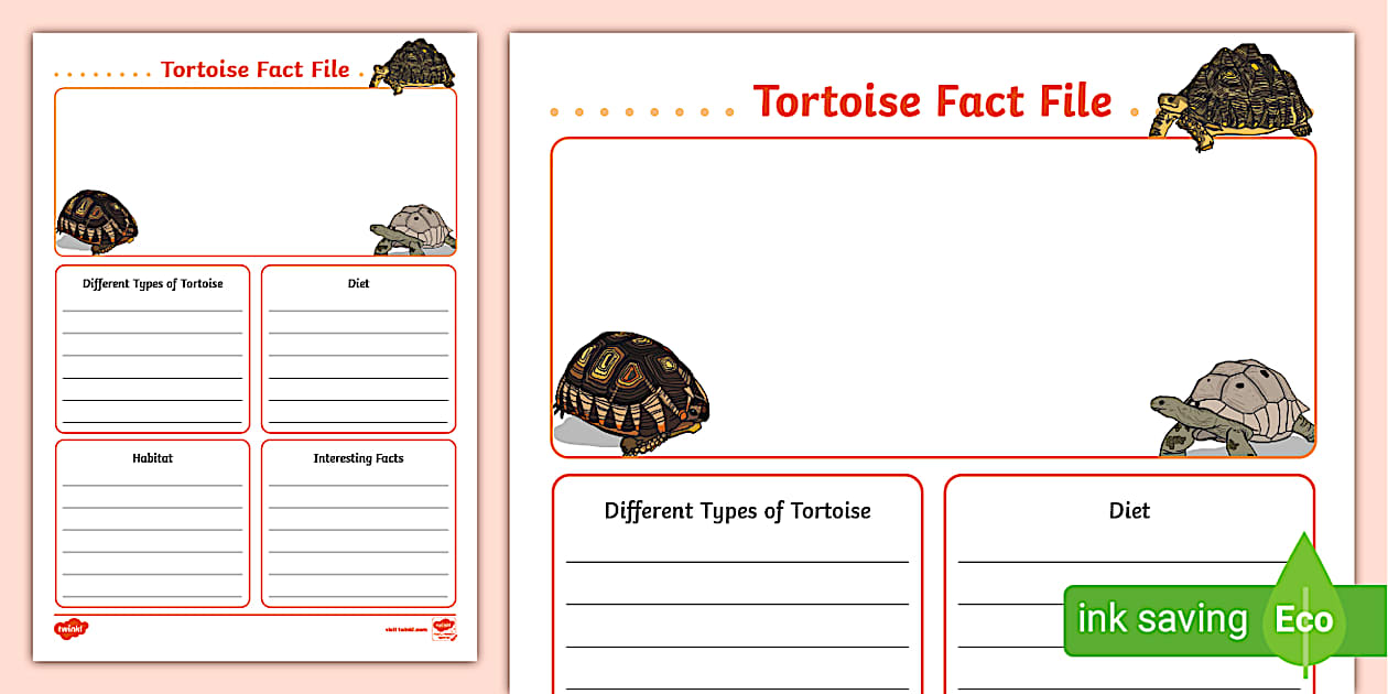 Tortoise Fact File Template (teacher made) - Twinkl