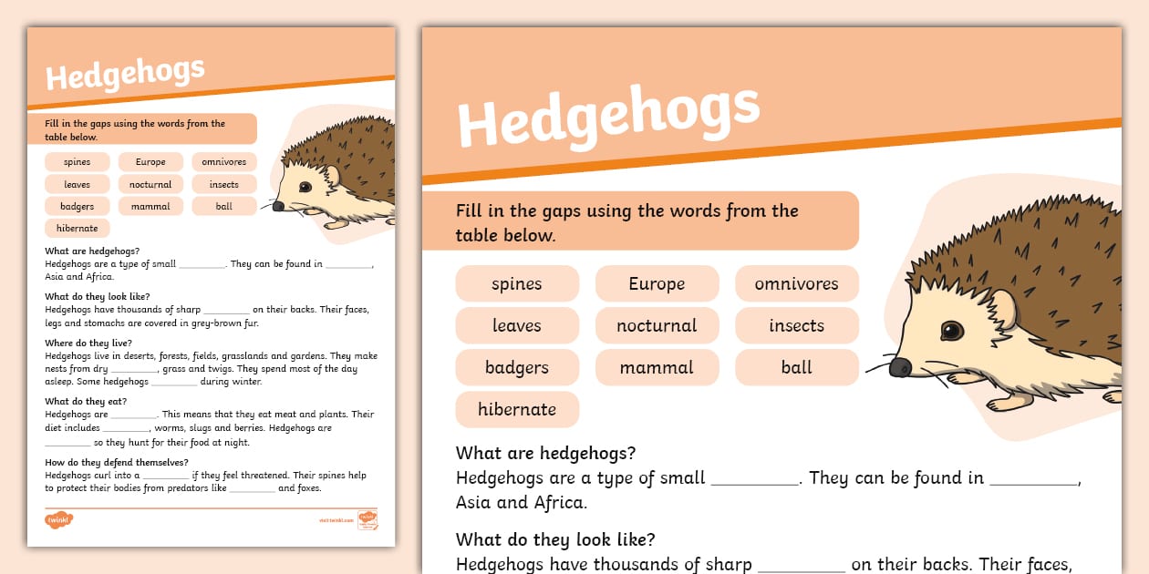 Hedgehog Cloze Worksheet - KS1 (teacher made) - Twinkl
