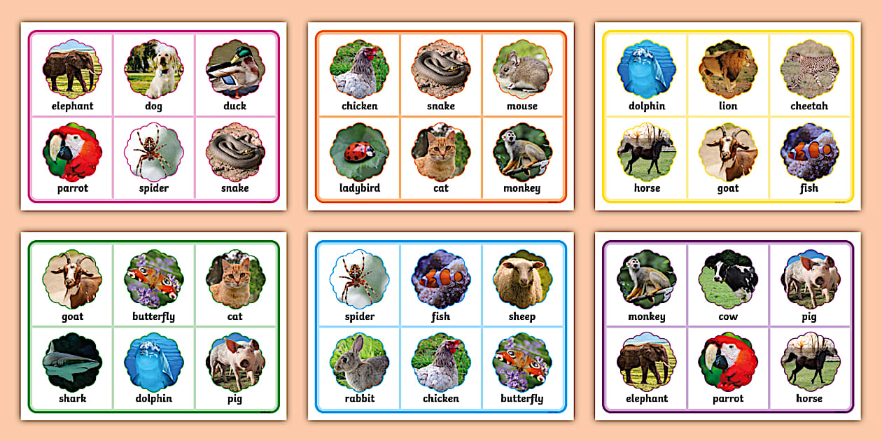 Animal Photo Bingo Game - Animals - KS1 (teacher made)