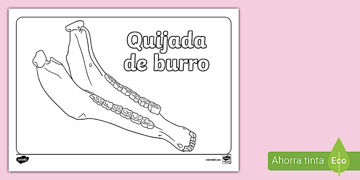 Ficha: Quijada de burro para colorear (teacher made)