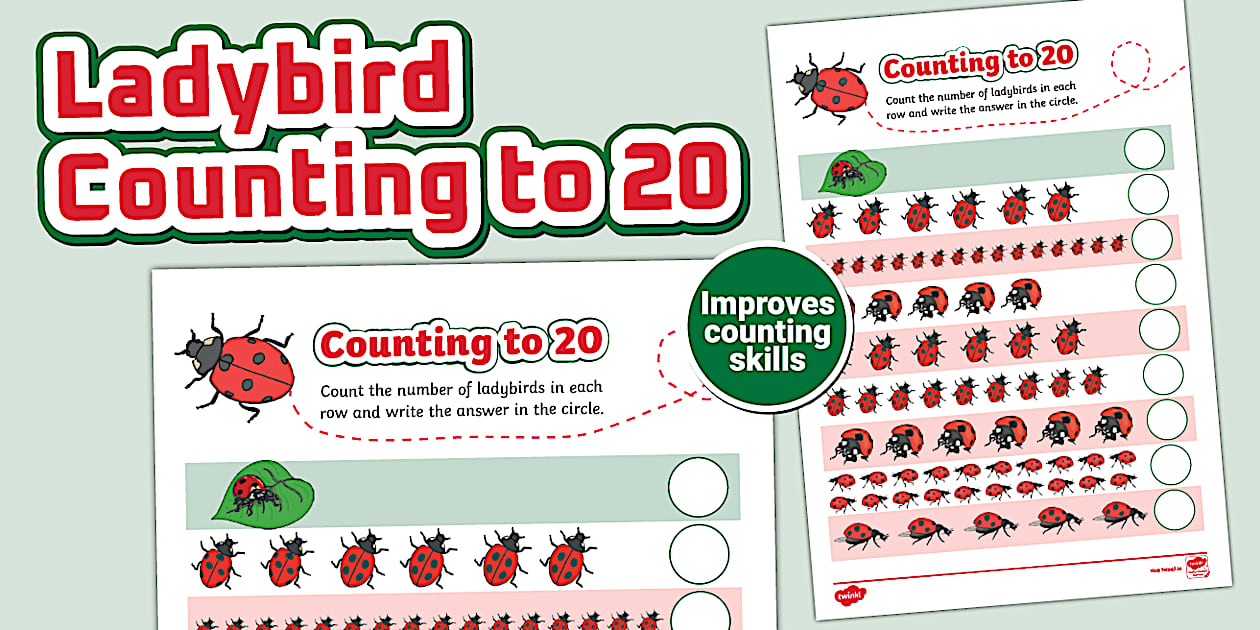 Ladybird Counting to 20 Worksheet