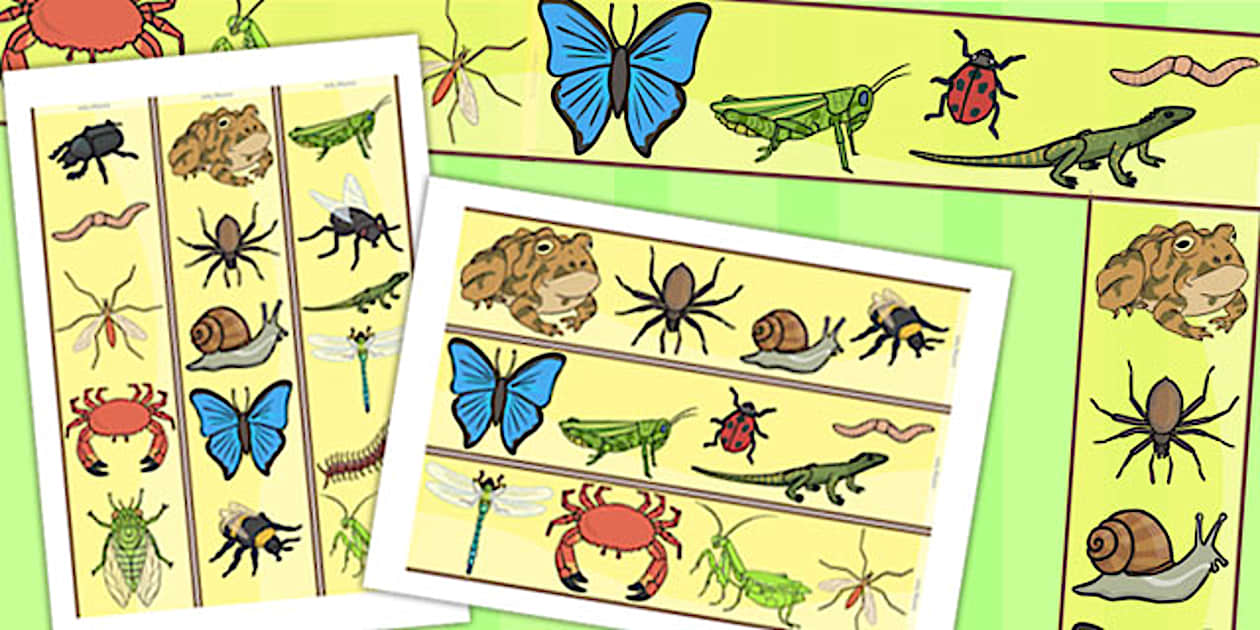 Minibeasts Display Border (teacher made) - Twinkl