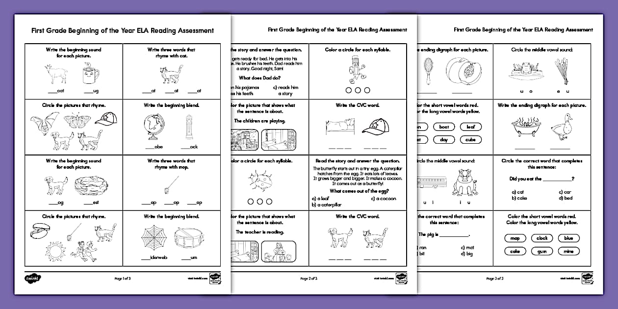 First Grade Beginning of the Year ELA Reading Assessment