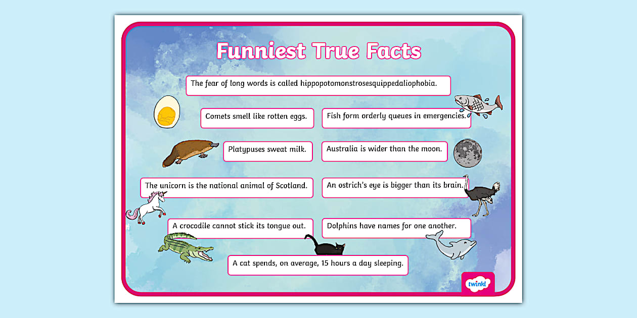 Funniest True Facts Display Poster (teacher made) - Twinkl