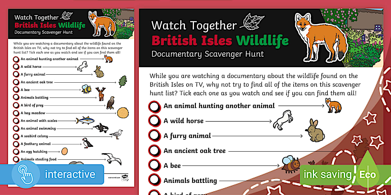 Watch Together: British Isles Wildlife Documentary Scavenger Hunt (Ages ...
