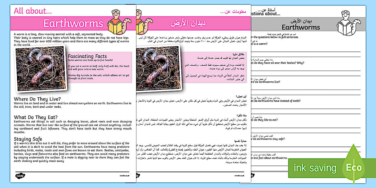 Earthworm Reading Comprehension Arabic/English - Earthworm Reading