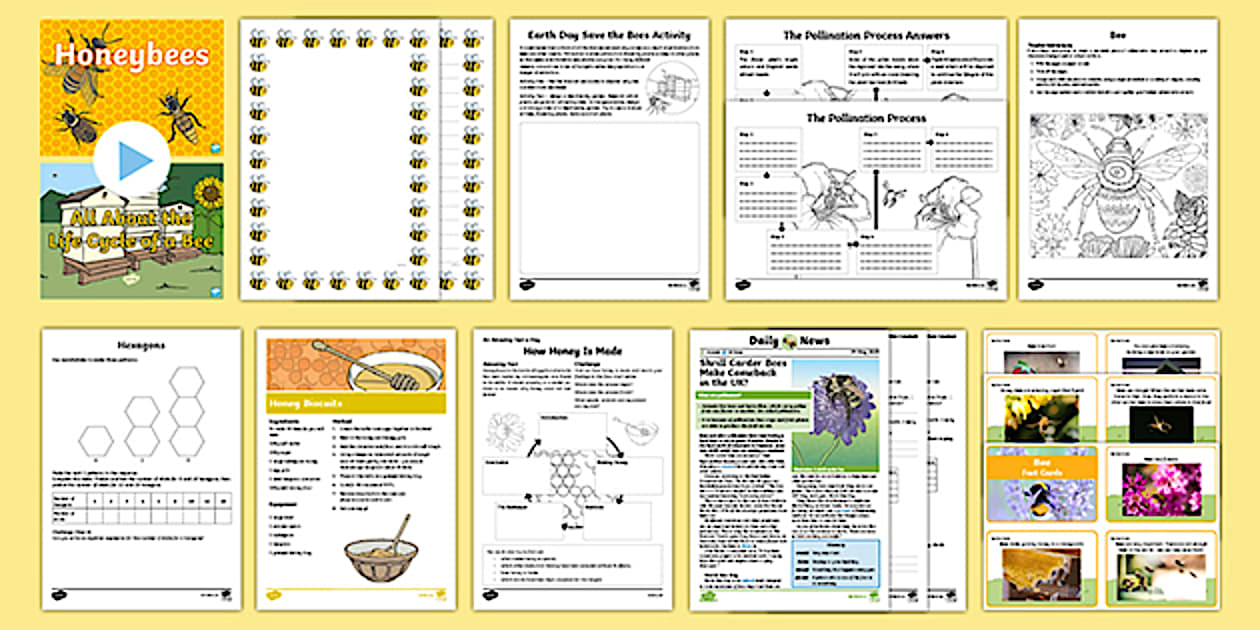 All About Bees Resource Pack - Bees Activity Pack - Twinkl