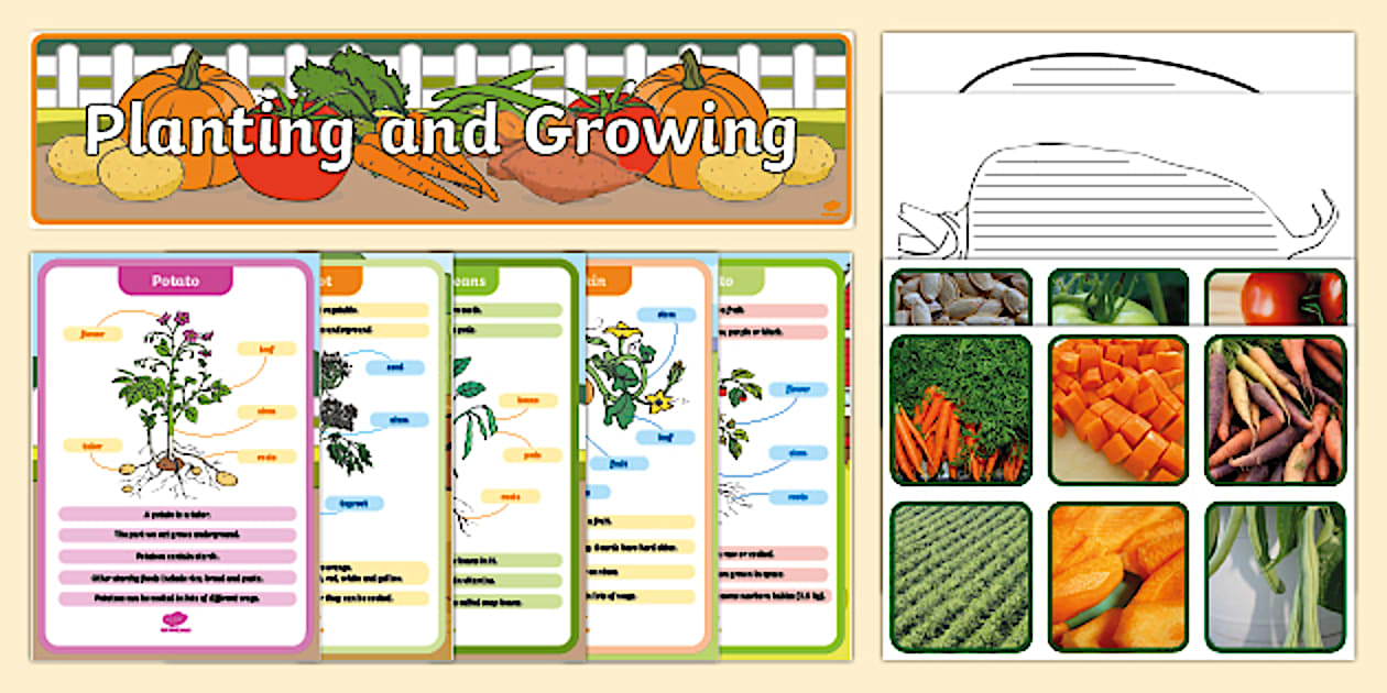Planting and Growing (teacher made) - Twinkl