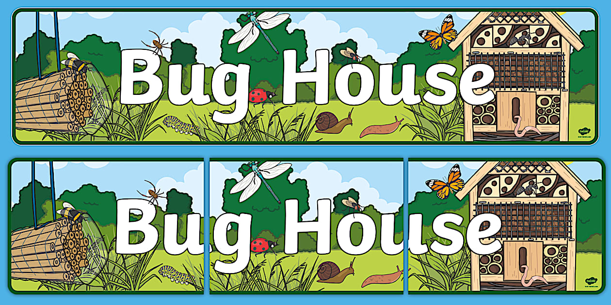 Bug House Display Banner (teacher made) - Twinkl