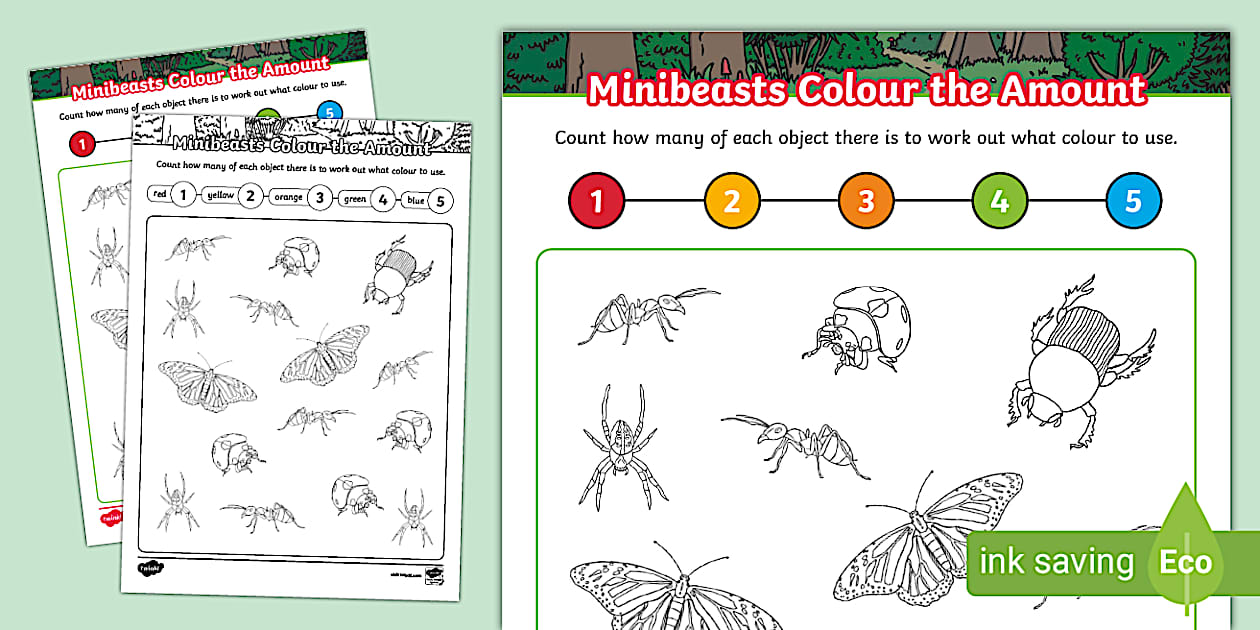 👉 Minibeasts Colour the Amount Worksheet (teacher made)