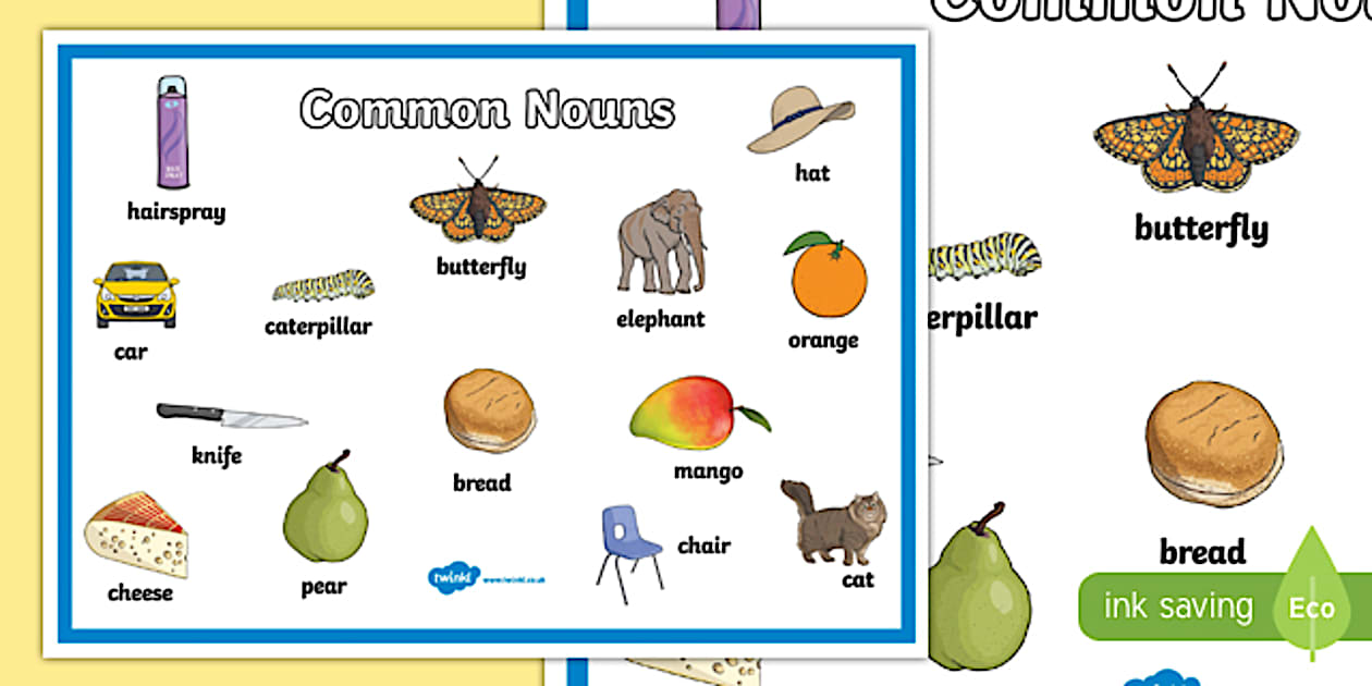 Common Nouns Display Poster (teacher made) - Twinkl