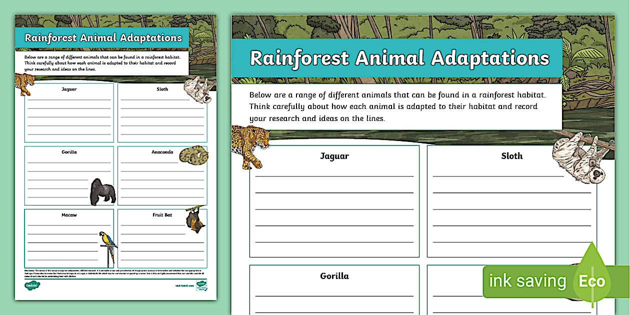 Rainforest Animal Adaptations Activity Sheet - Twinkl