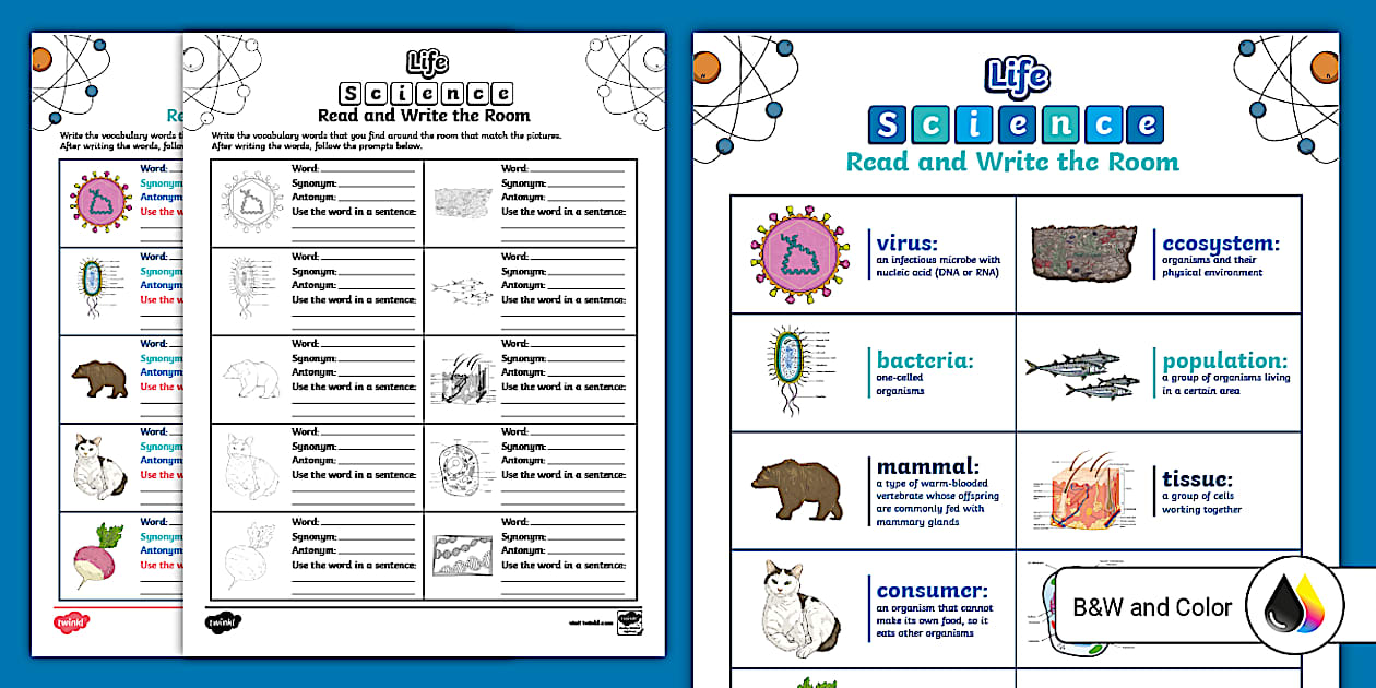 Tier 3 Vocabulary Read and Write the Room: Life Science
