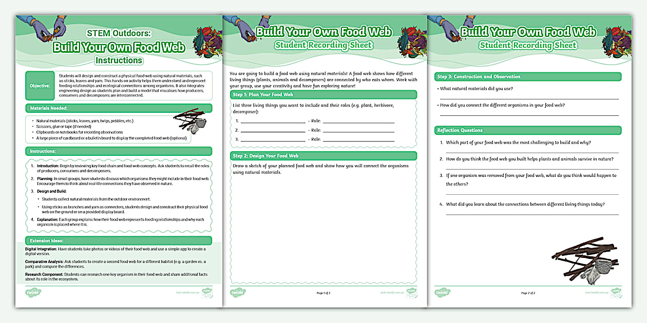 STEM Outdoors: Build Your Own Food Web (teacher made)