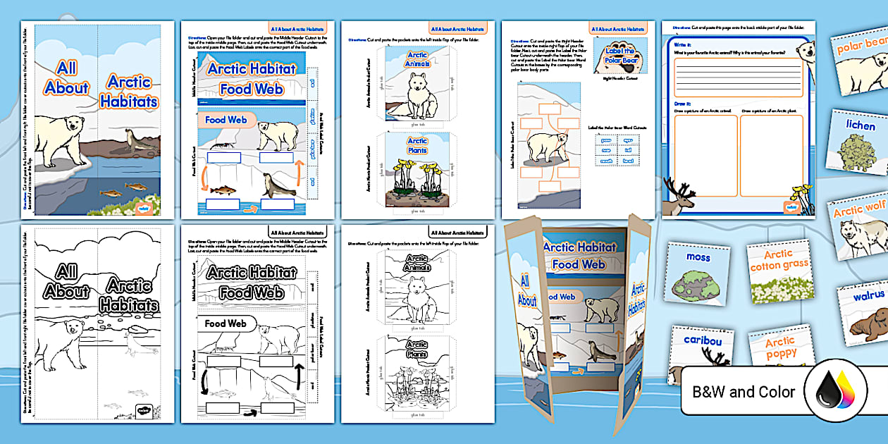 All About Arctic Habitats Tri-Fold File Folder Activity
