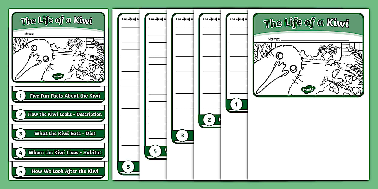 Kiwi Bird Habitat in New Zealand: Fun Flipbook for Kids