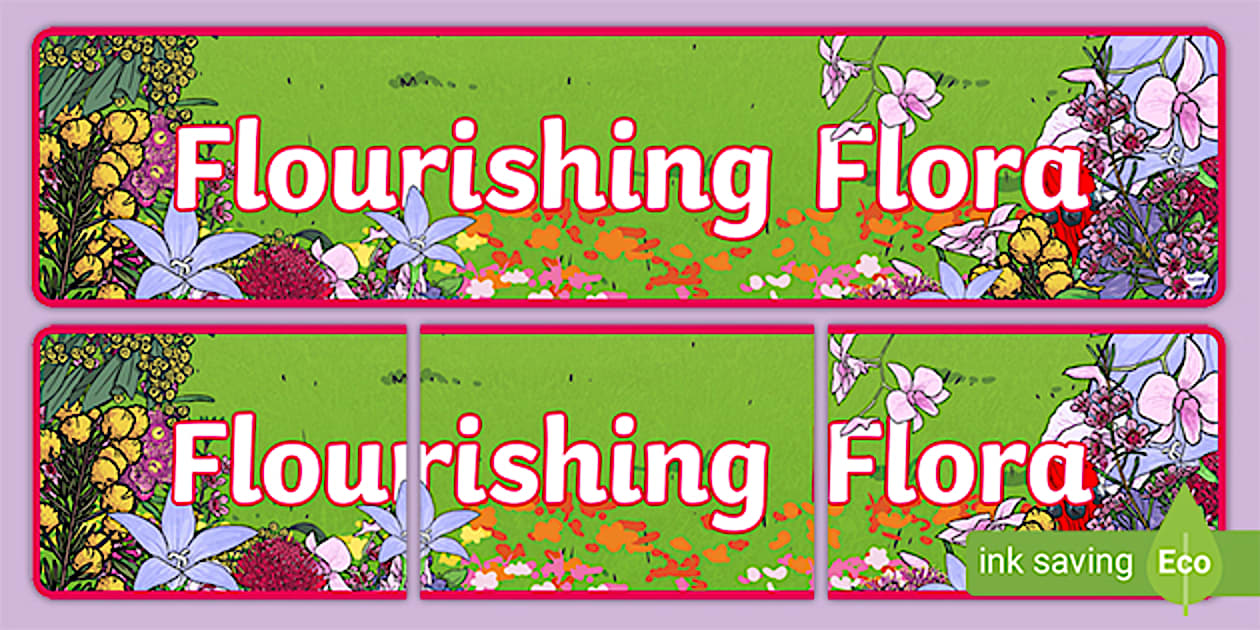 Editable Australian Native Flora Display Banner - Twinkl