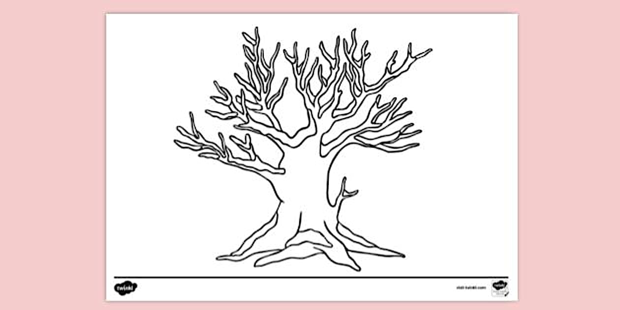 Tree Bark Colouring Sheet - Teaching Resources - Twinkl