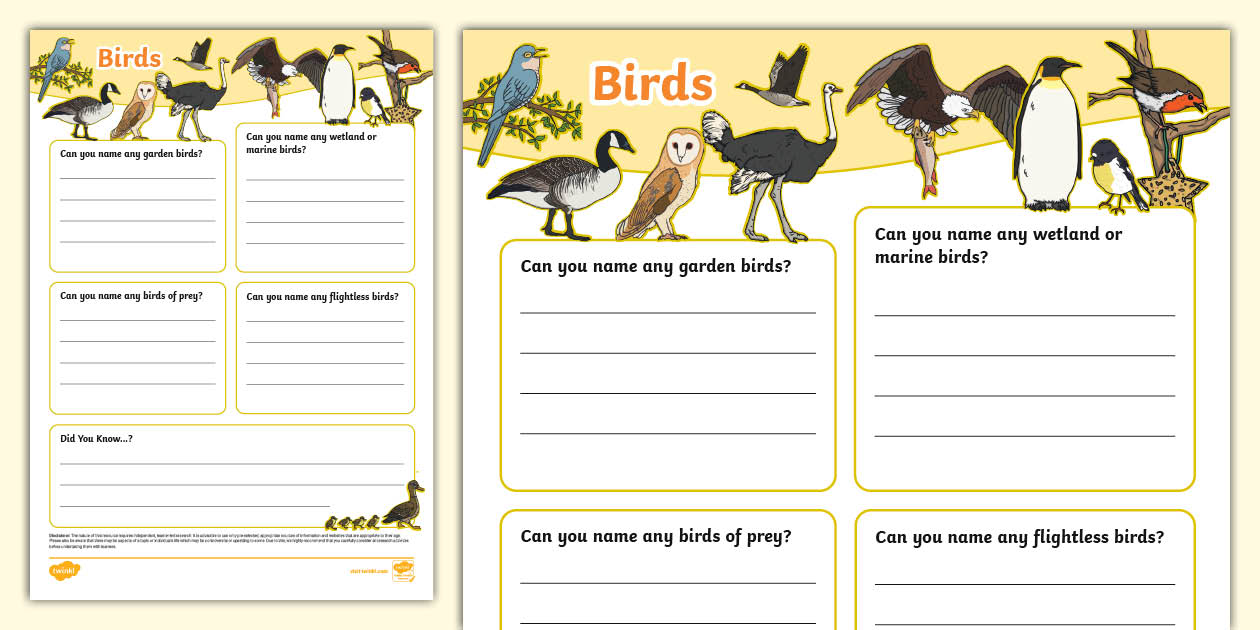 Birds Fact File Template,British birds (teacher made)